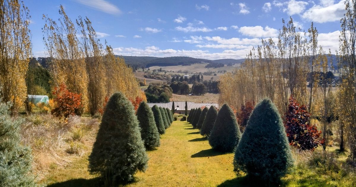 Oberon Autumn Colour Garden Showcase 2026 - casperscloudoberon@gmail.com