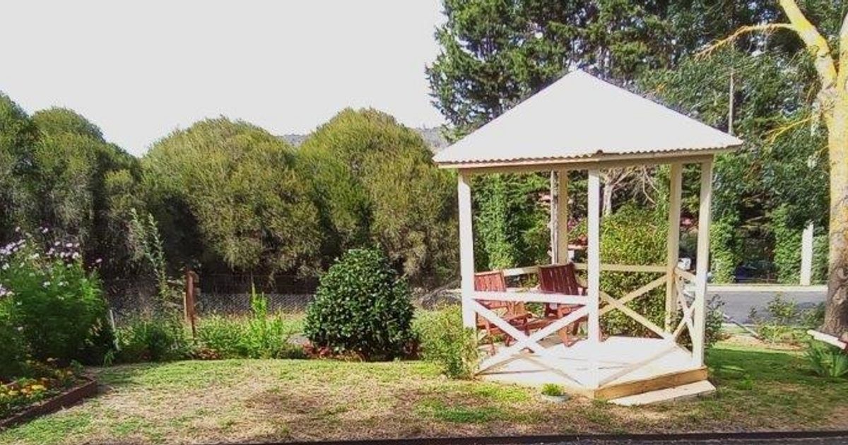 Oberon Autumn Colour Garden Showcase 2026 - casperscloudoberon@gmail.com