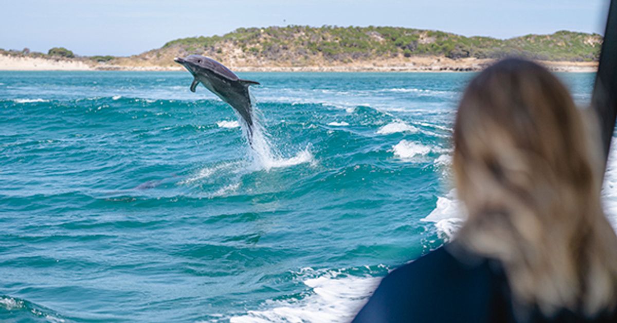 Rockingham - Mandurah Beach to Bush Drive - Karryon