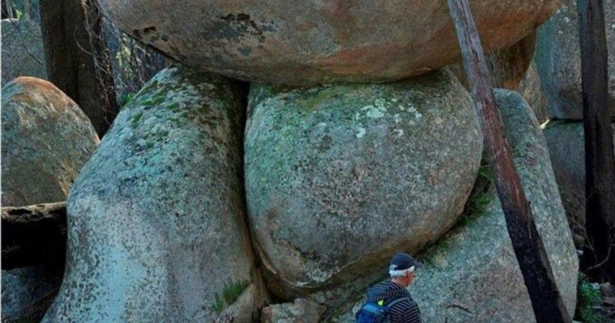 Gulaga Mountain Walk - Walks and trails - Eurobodalla